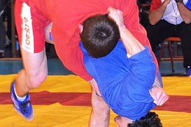 France Sambo Championship in Chambery | Photo — International SAMBO ...